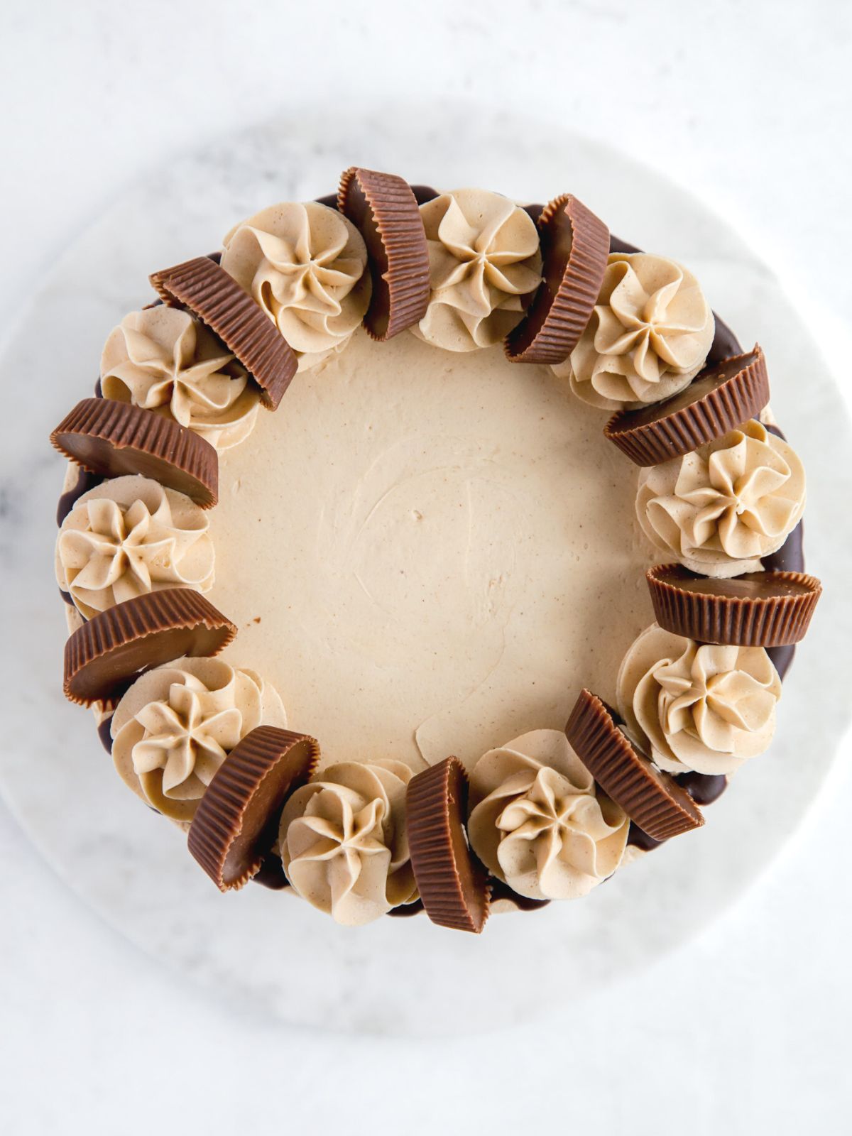 Chocolate Peanut Butter Cake - Cake Me Home Tonight