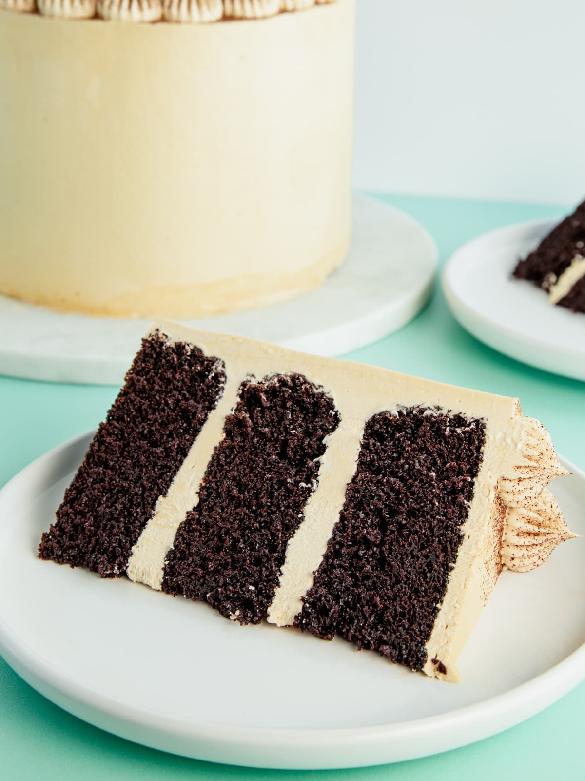 Chocolate Mocha Cake - Cake Me Home Tonight